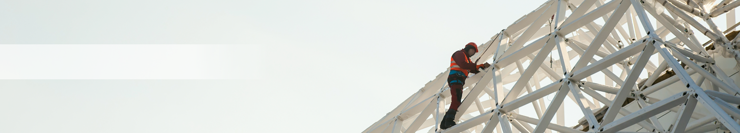 BDP Risk® LMS - Berkley Design Professional